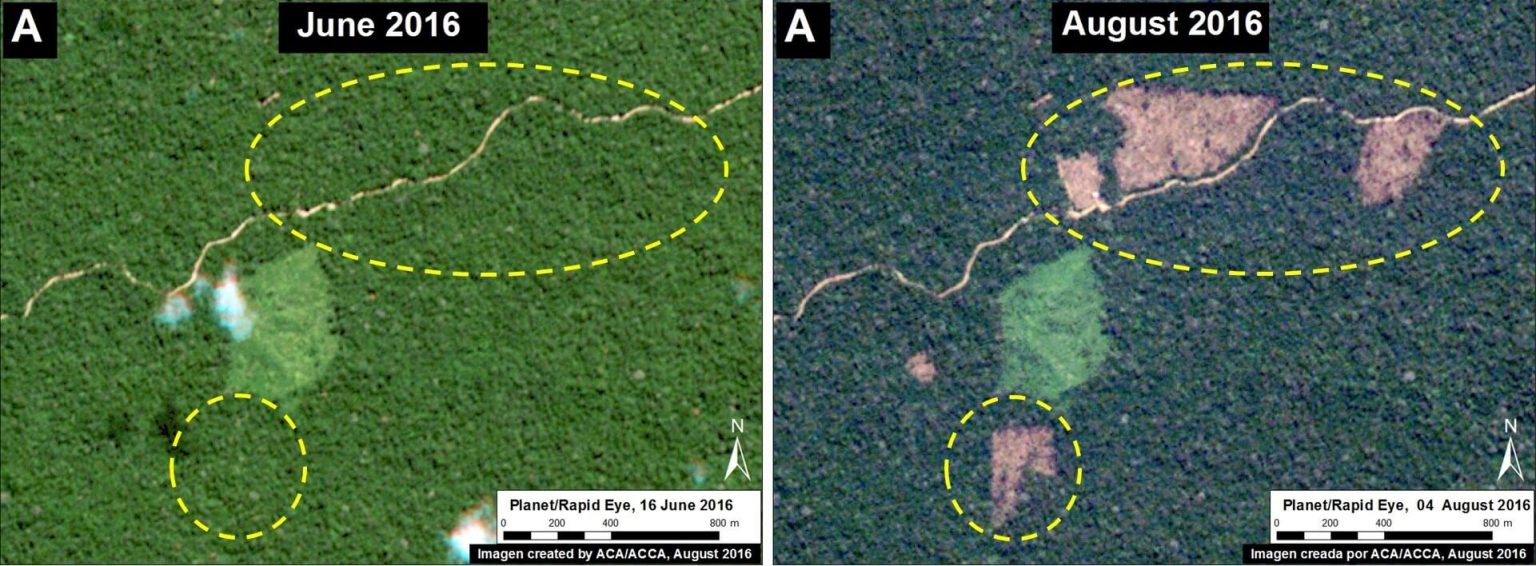 MAAP #43: Early Warning Deforestation Alerts in The Peruvian Amazon ...