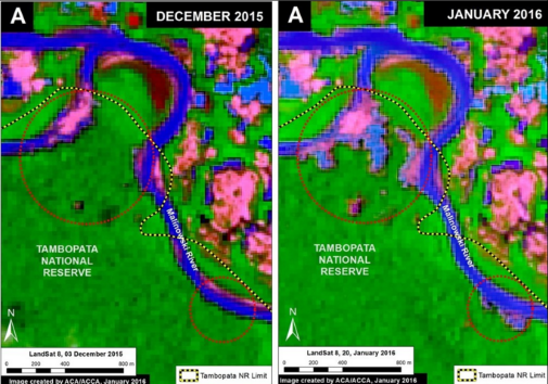 MAAP: Near-Real Time Deforestation Monitoring Aids Intervention in ...