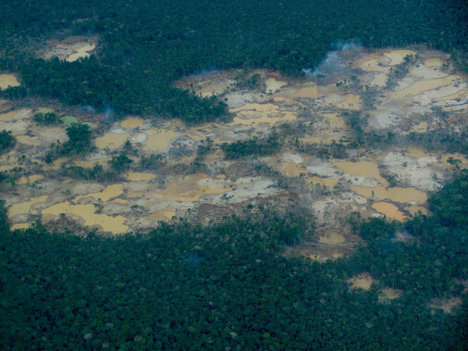 Patterns, trends and drivers of deforestation in the Peruvian Amazon ...