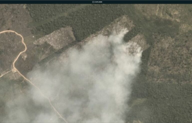 Amazon Fire Tracker 2020: Images Of The Brazilian Amazon Fires - Amazon ...