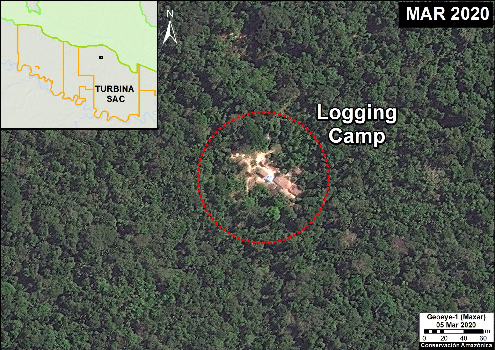 Satellite image of an illegal logging camp. Data: Maxar, MAAP. - Amazon ...