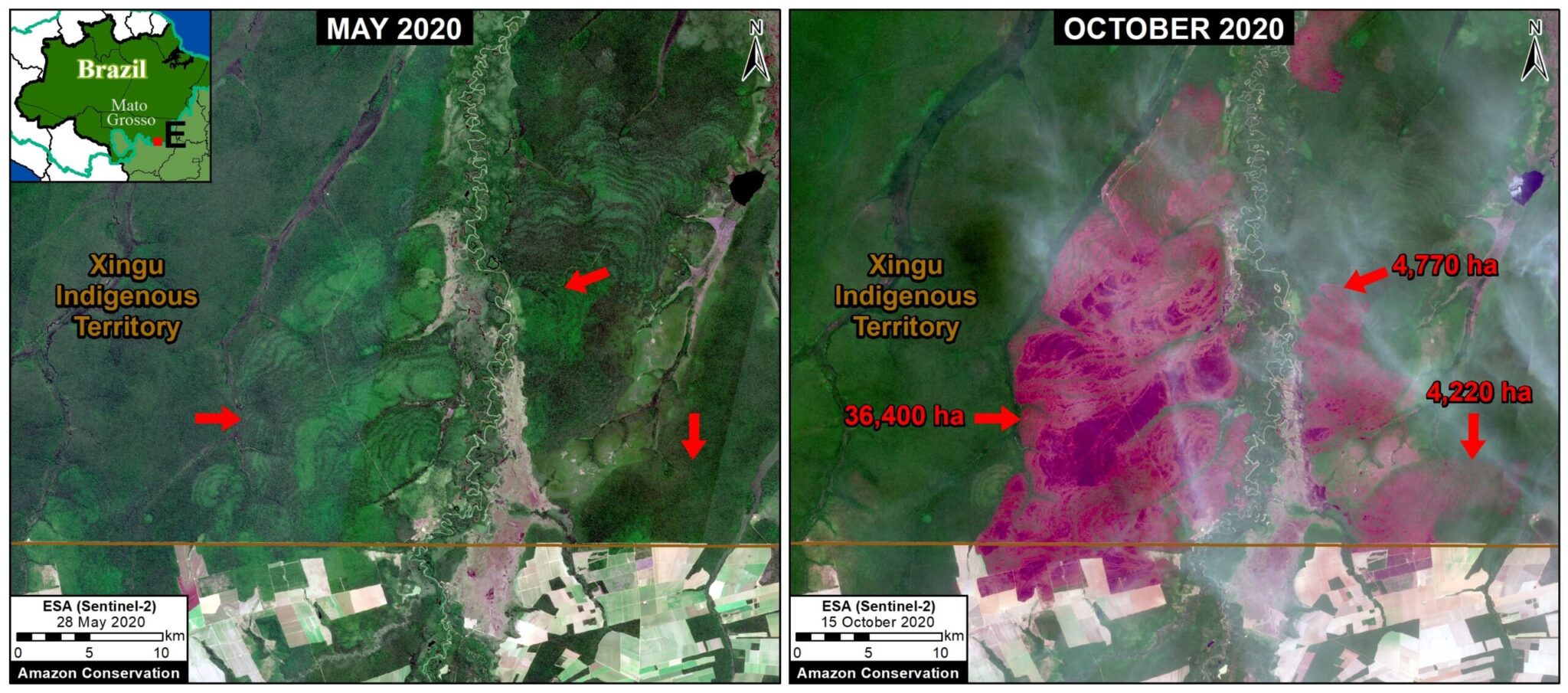 MAPS Archives - Amazon Conservation Association