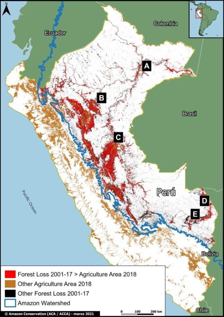MAAP #134: Agriculture And Deforestation In The Peruvian Amazon ...