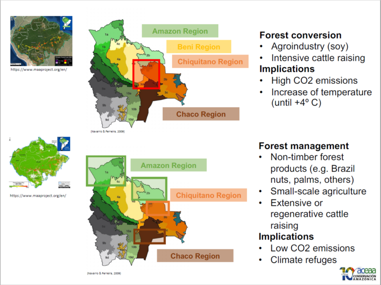 State of the Amazon: Fires, Deforestation, and Climate Change Recap ...