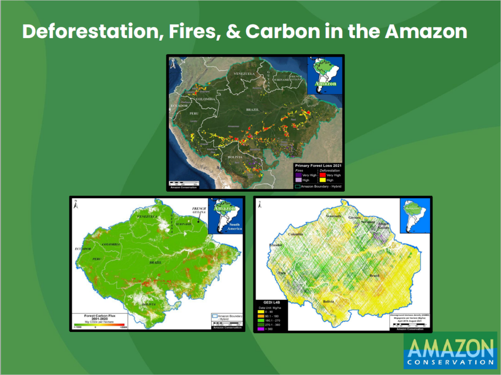 State of the Amazon: Fires, Deforestation, and Climate Change Recap ...
