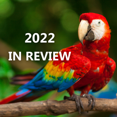 2022 In Review - Looking Back at All We Were Able to Accomplish for the ...