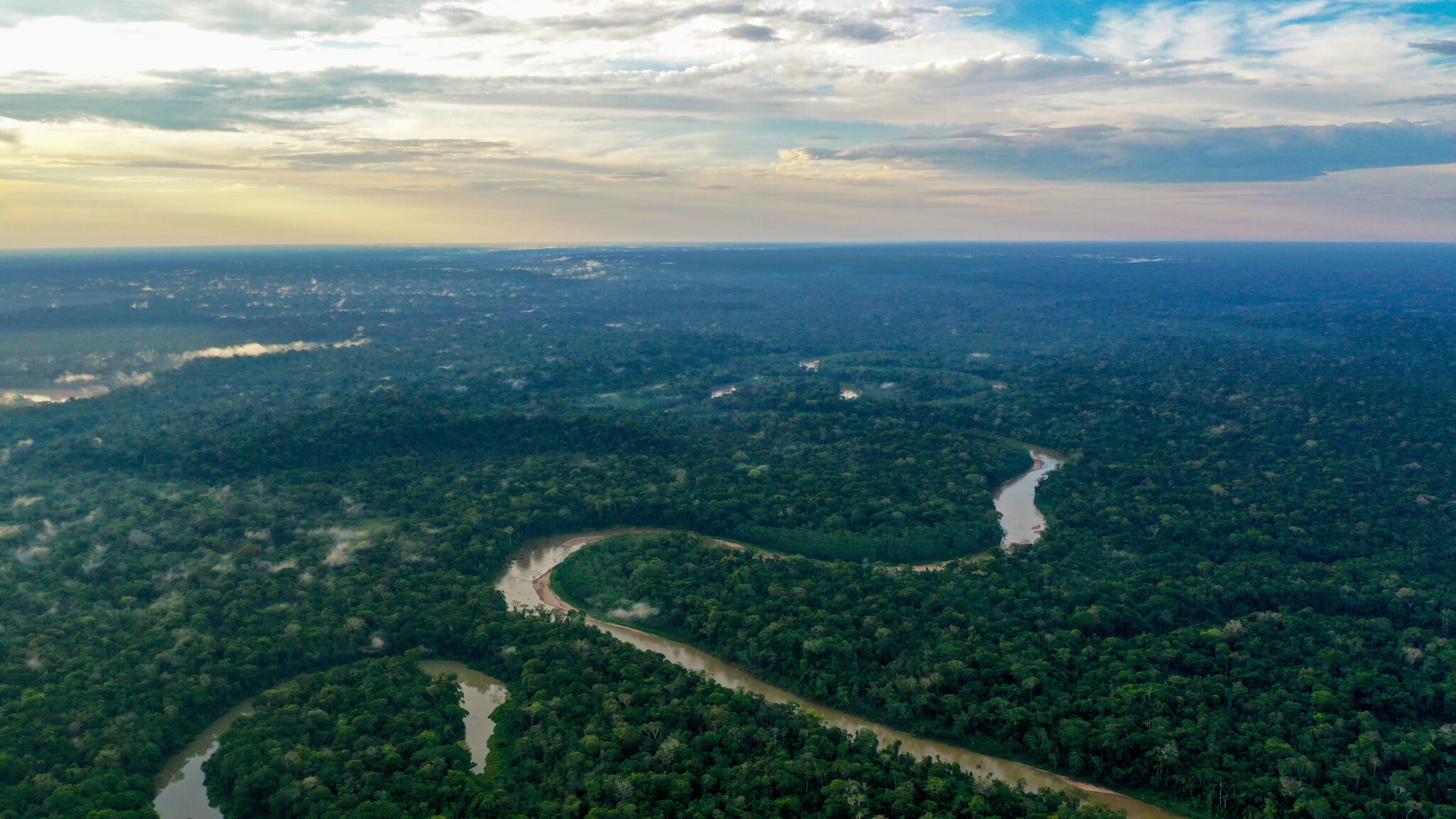 Peru Recognizes Los Amigos Conservation Area at 2022 COP15 - Amazon ...