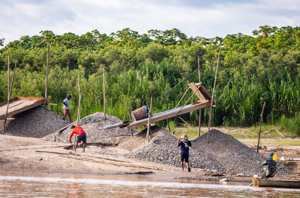 Work in the Amazon Rainforest | Amazon Conservation Association