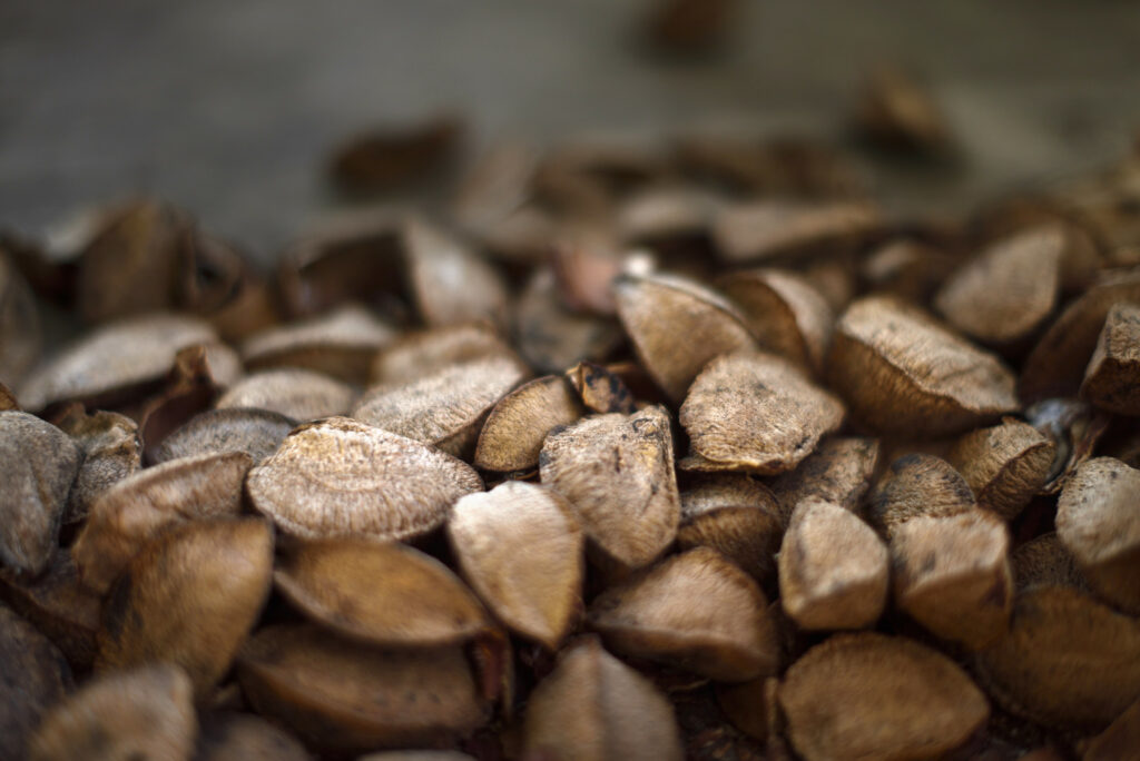 Learn About the Exotic Fruits of the Amazon - Amazon Conservation ...