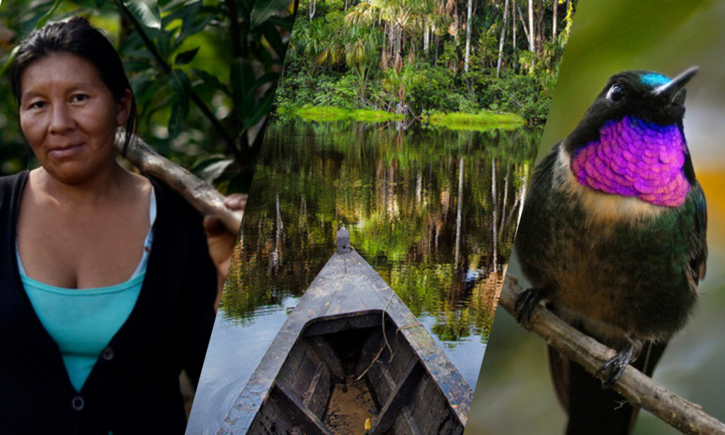 Take Action to Build Climate Resilience for the Amazon - Amazon ...