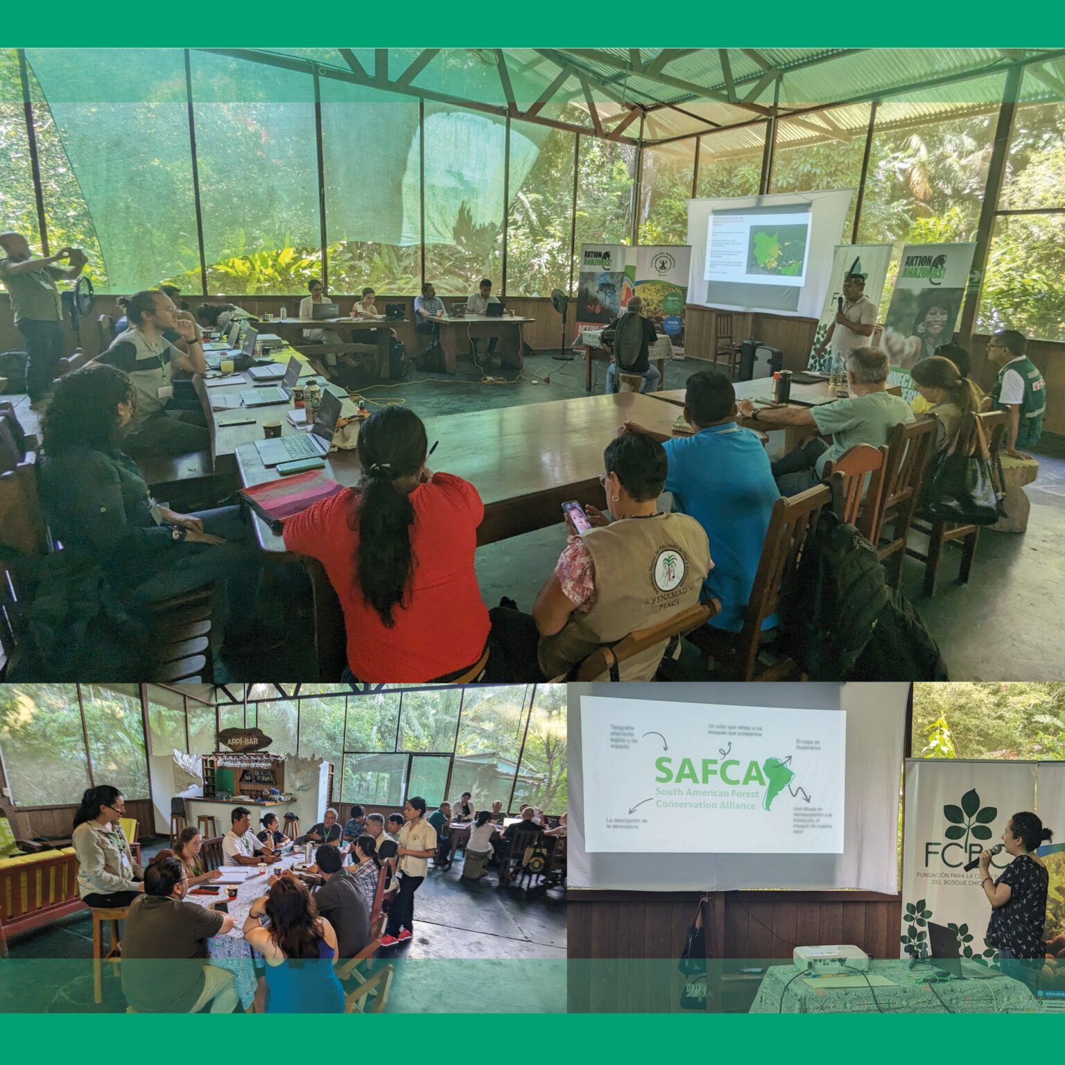 ACCA and ACEAA Join the South American Forest Conservation Alliance ...