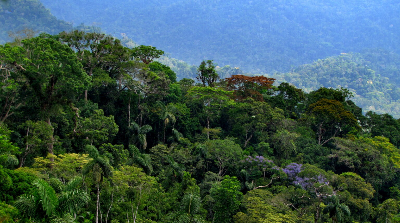 Amazon Conservation Joins The International Union for Conservation of ...