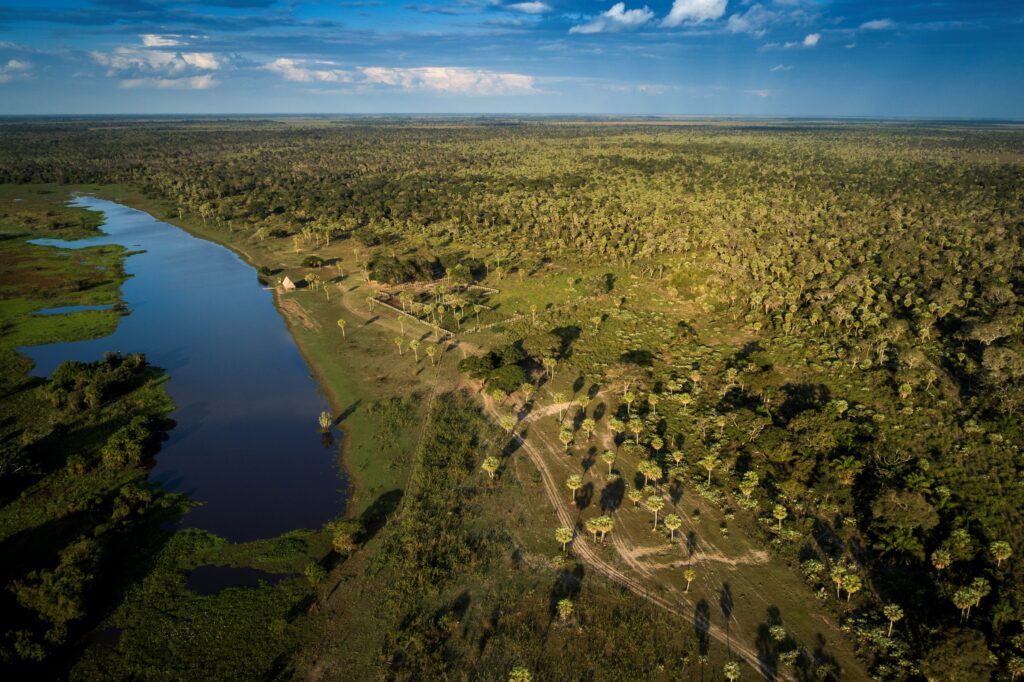 Answering Your Most Frequently Asked Questions - Amazon Conservation ...