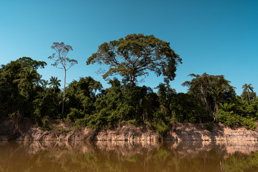 Launching 2025: Reflecting on Our 2024 Accomplishments - Amazon ...