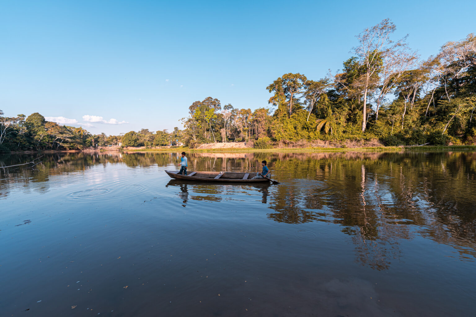 Innovating for Conservation: Protecting More Forests, More Sustainably ...