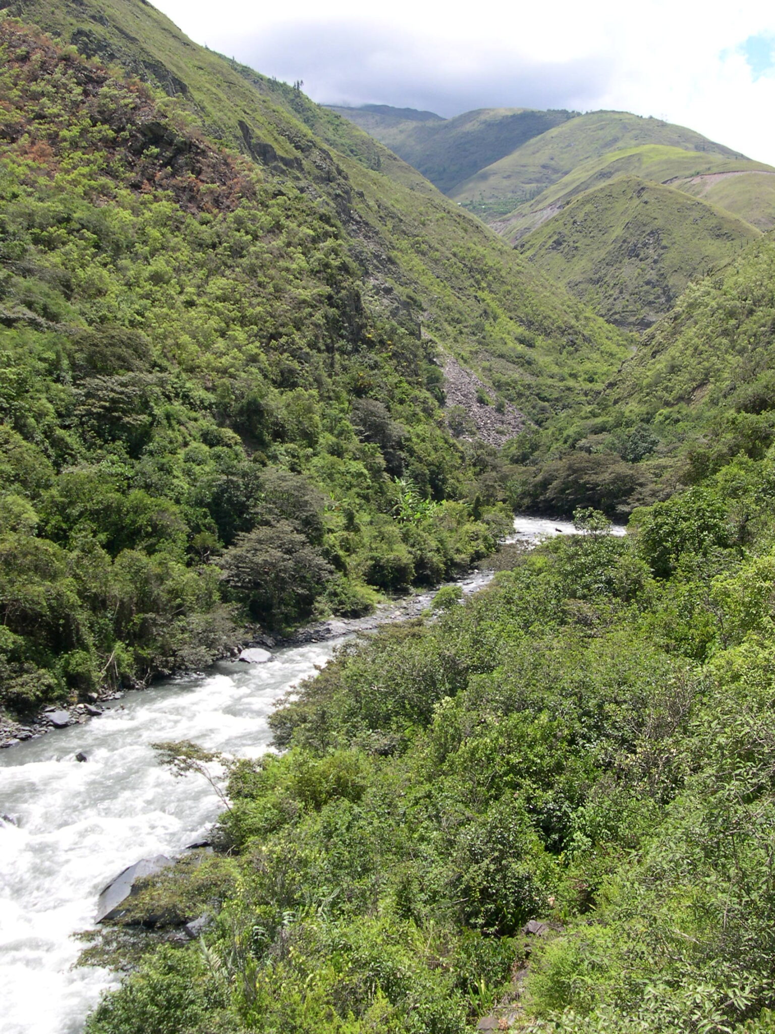 Recent Study Highlights Effective Reforestation Efforts in the Andes - Amazon Conservation ...