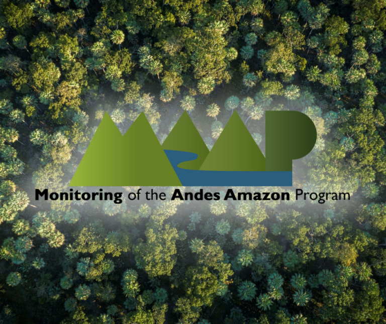 10 Years of MAAP: Stopping Deforestation and Driving Conservation ...