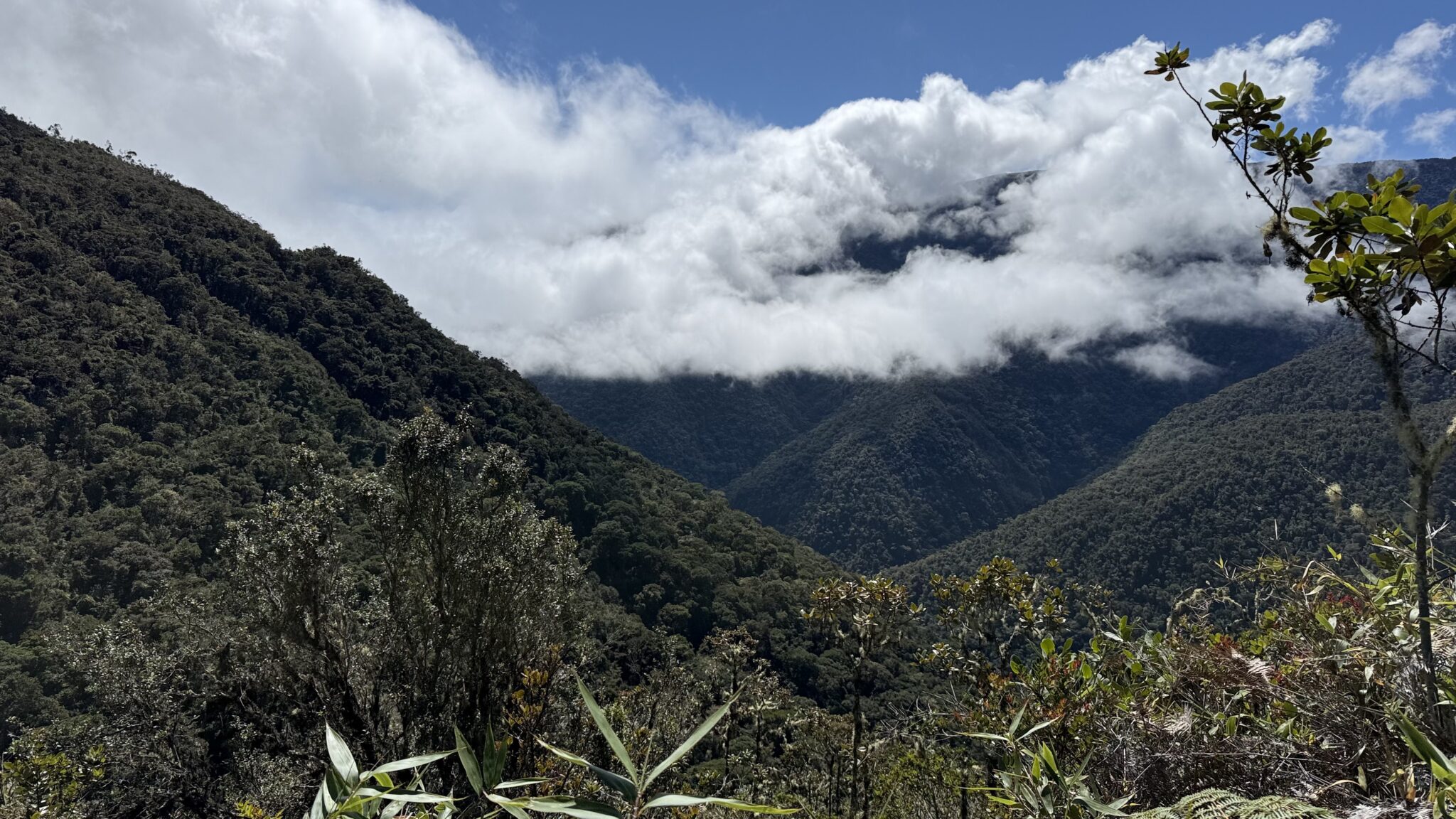 Thanks to You: Protecting the Amazon in 2025 - Amazon Conservation ...