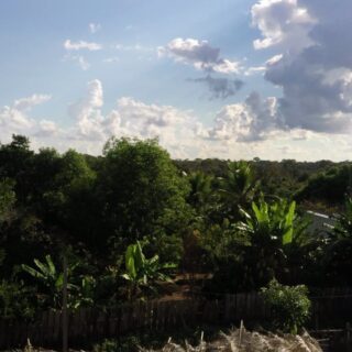 Amazon Conservation | 20 Years of Protecting the Amazon Rainforest